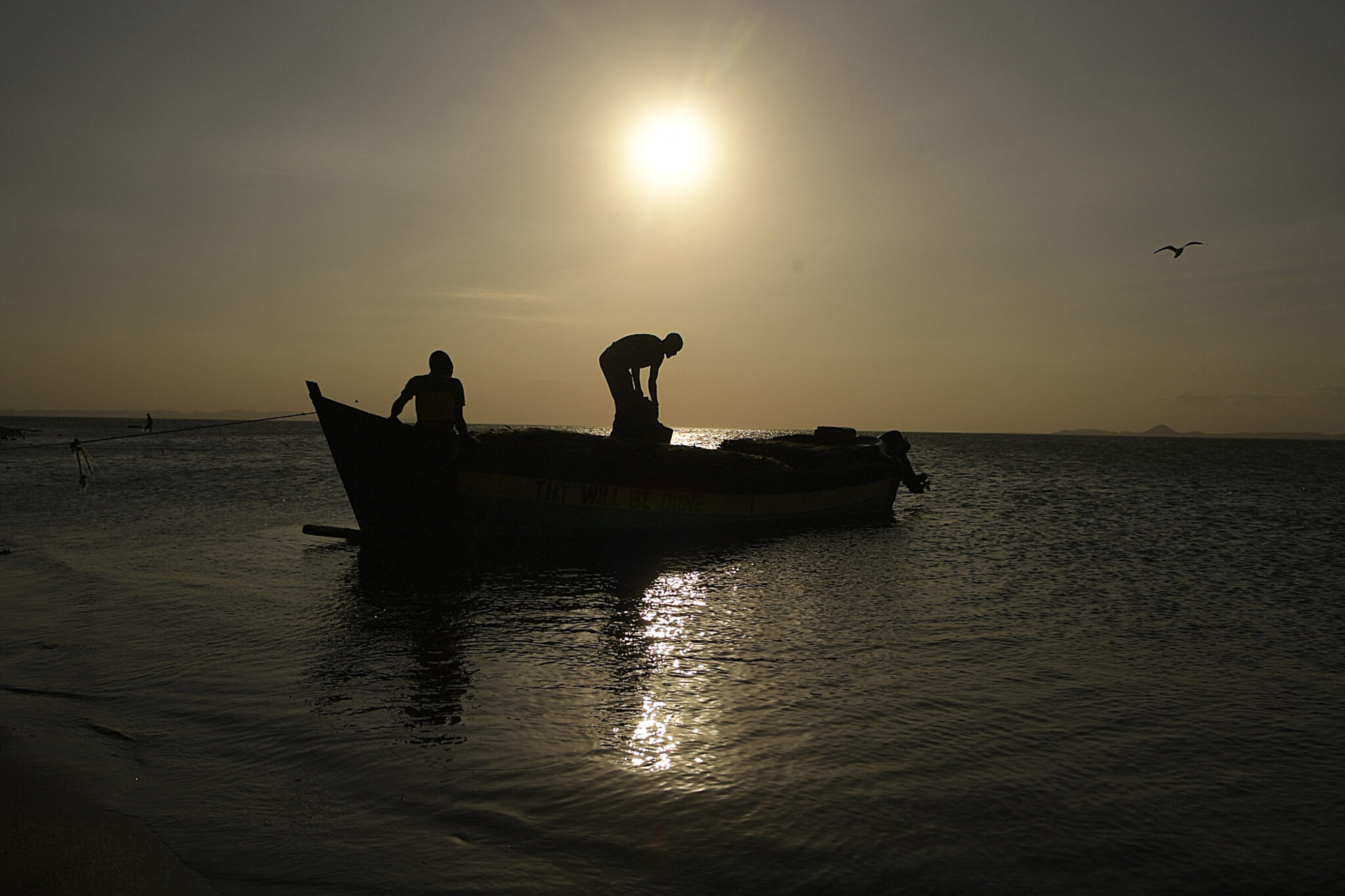 Coastal Africa aims to net billions from neglected fishing industry ...